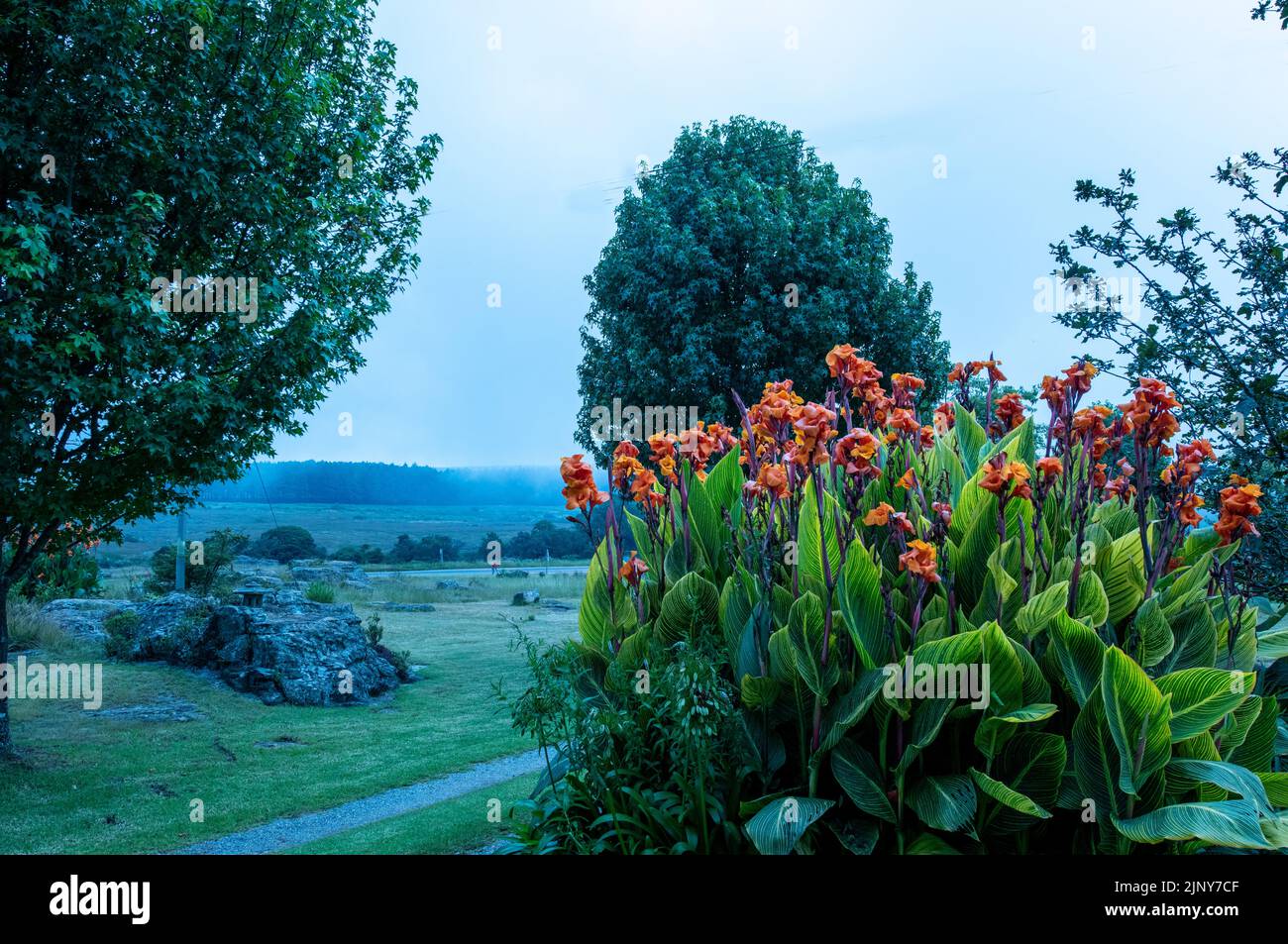 Scenic at Kaapsche Hoop Mpumalanga South Africa Stock Photo - Alamy