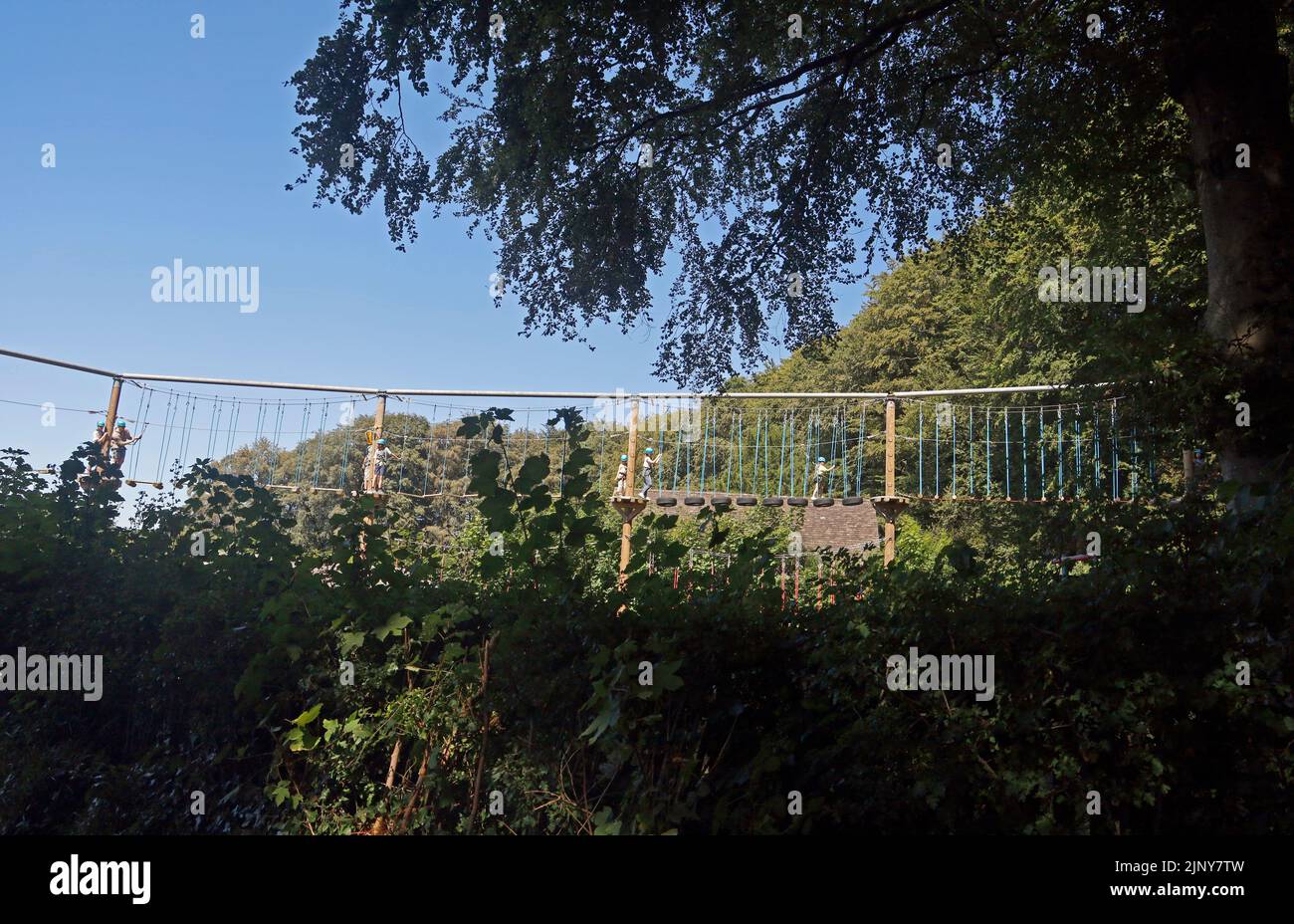 CoedLan fforest climbing experience, St Fagans National History Museum ...