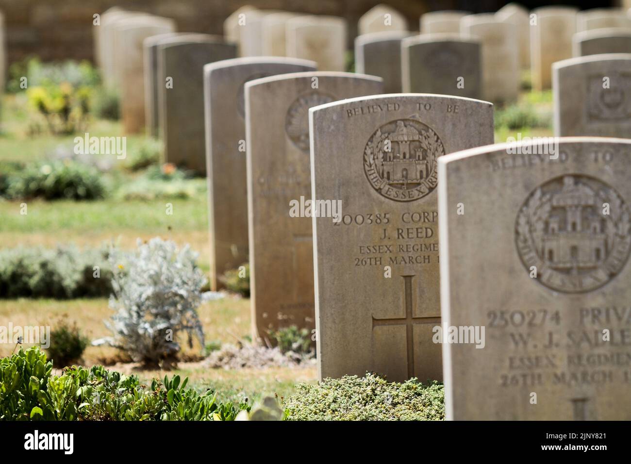 Gaza commonwealth war cemetery hi-res stock photography and images - Alamy