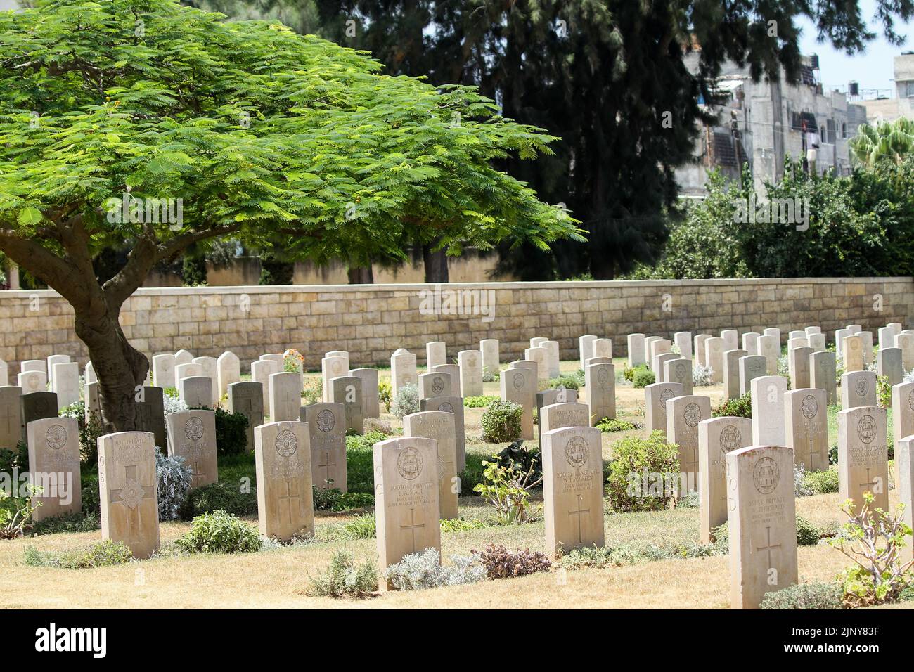 Gaza commonwealth war cemetery hi-res stock photography and images - Alamy