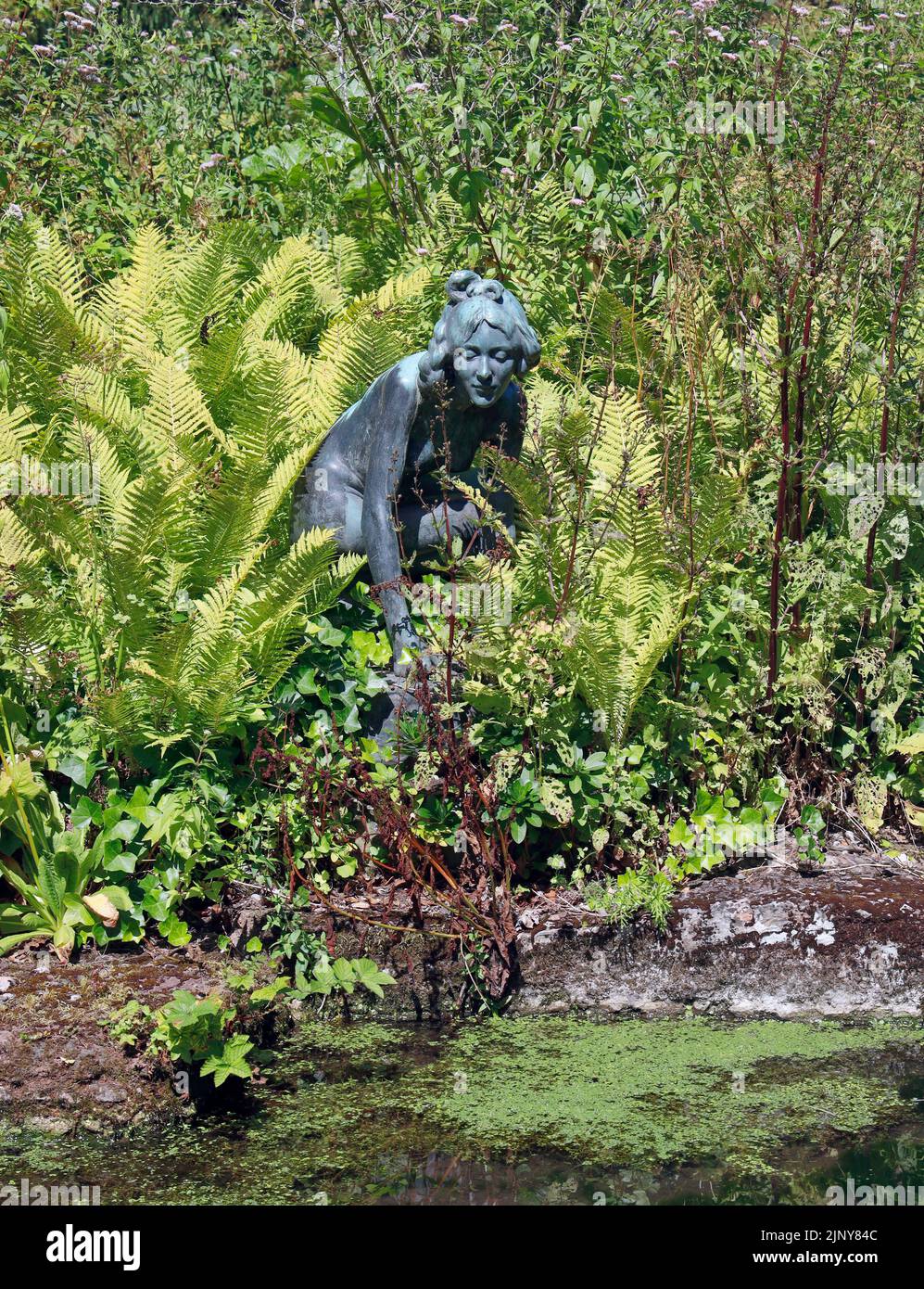 Water nymph statue, looking at reflecion in ornamental pond. Amongst ...