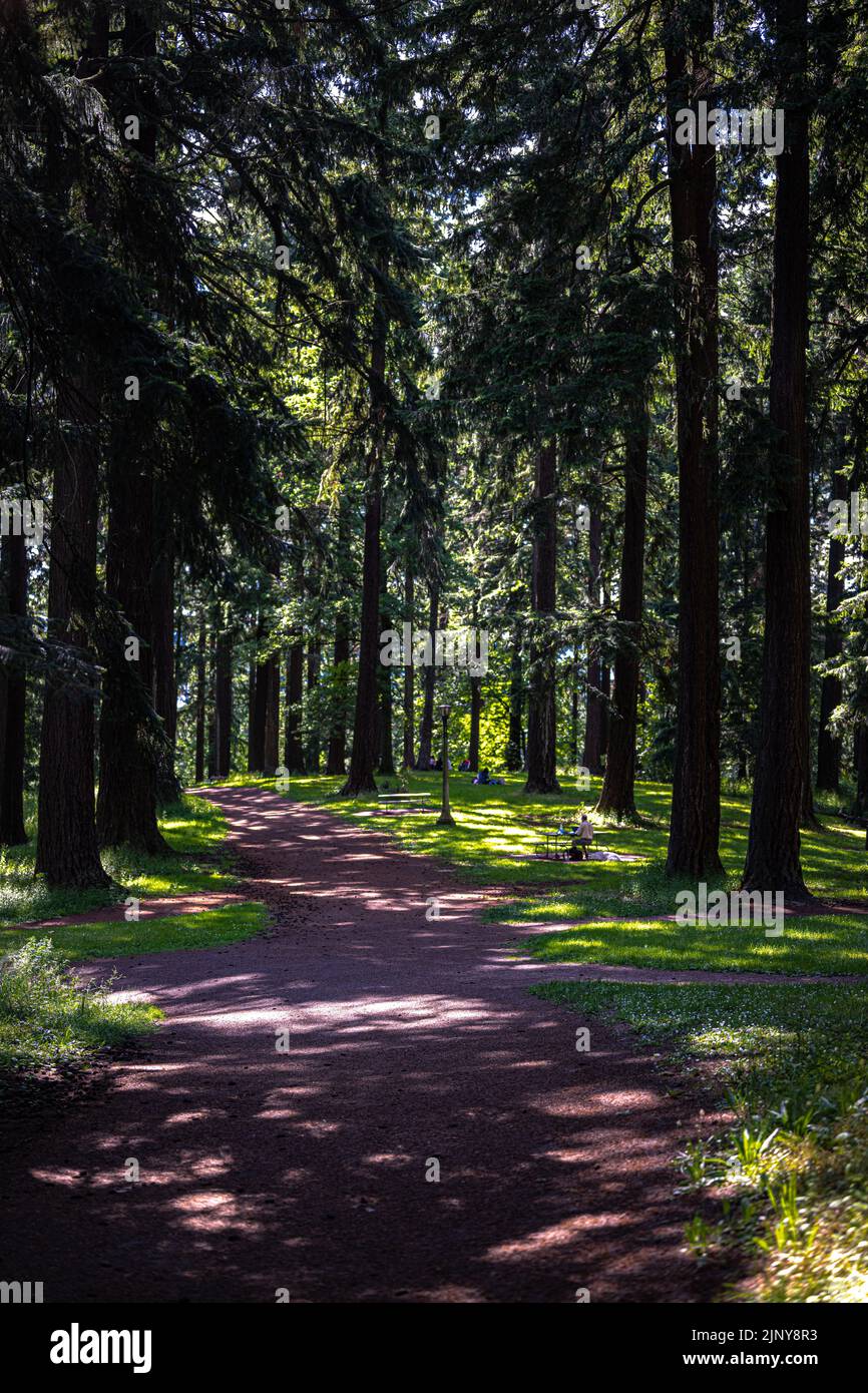Mt. Tabor Park in Portland, Oregon Stock Photo - Alamy