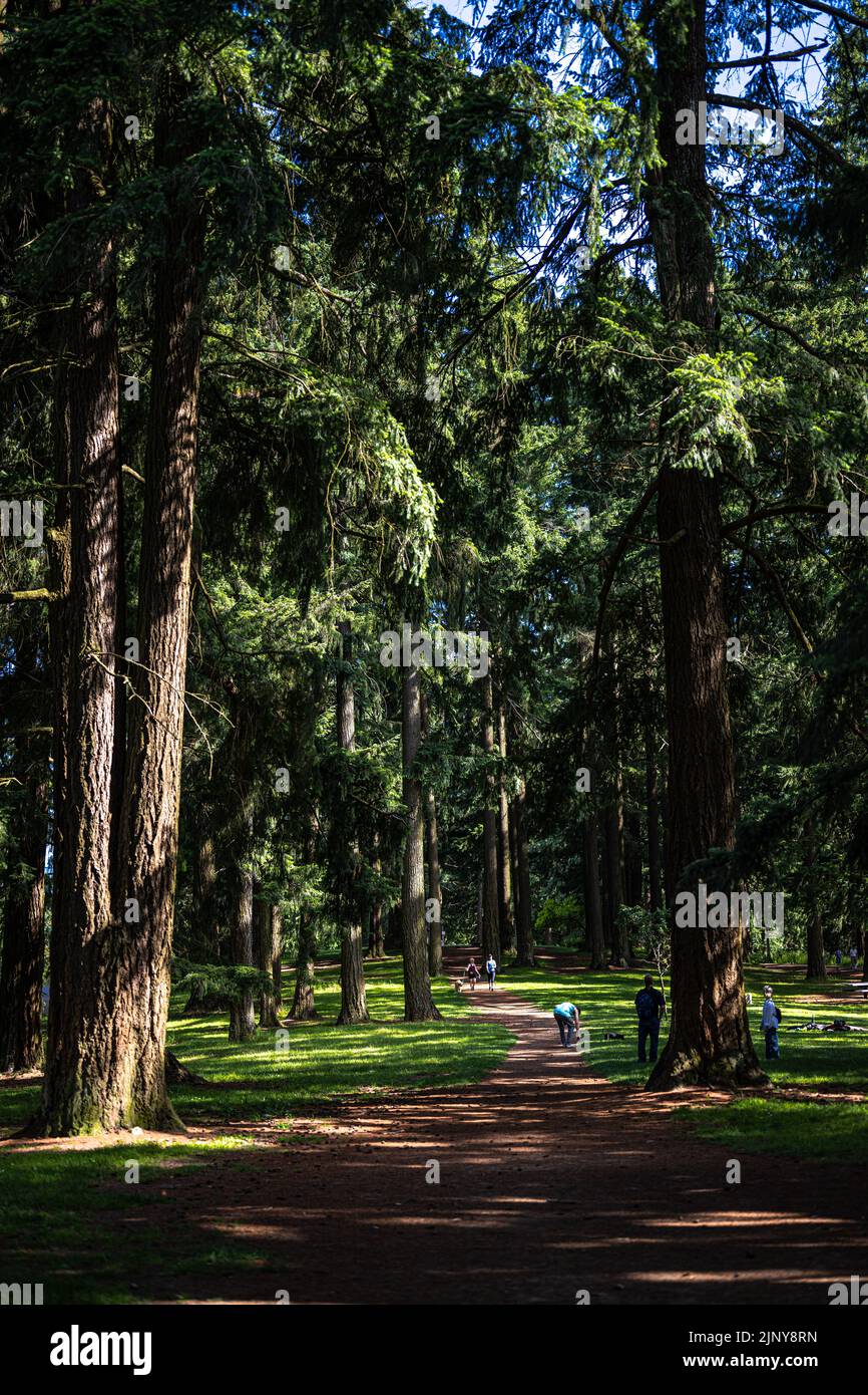 Mt tabor park hi-res stock photography and images - Alamy