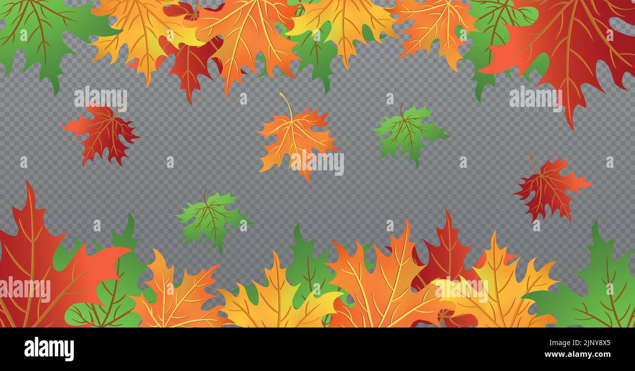 Autumn red and yellow maple leaves, web template transparent background ...