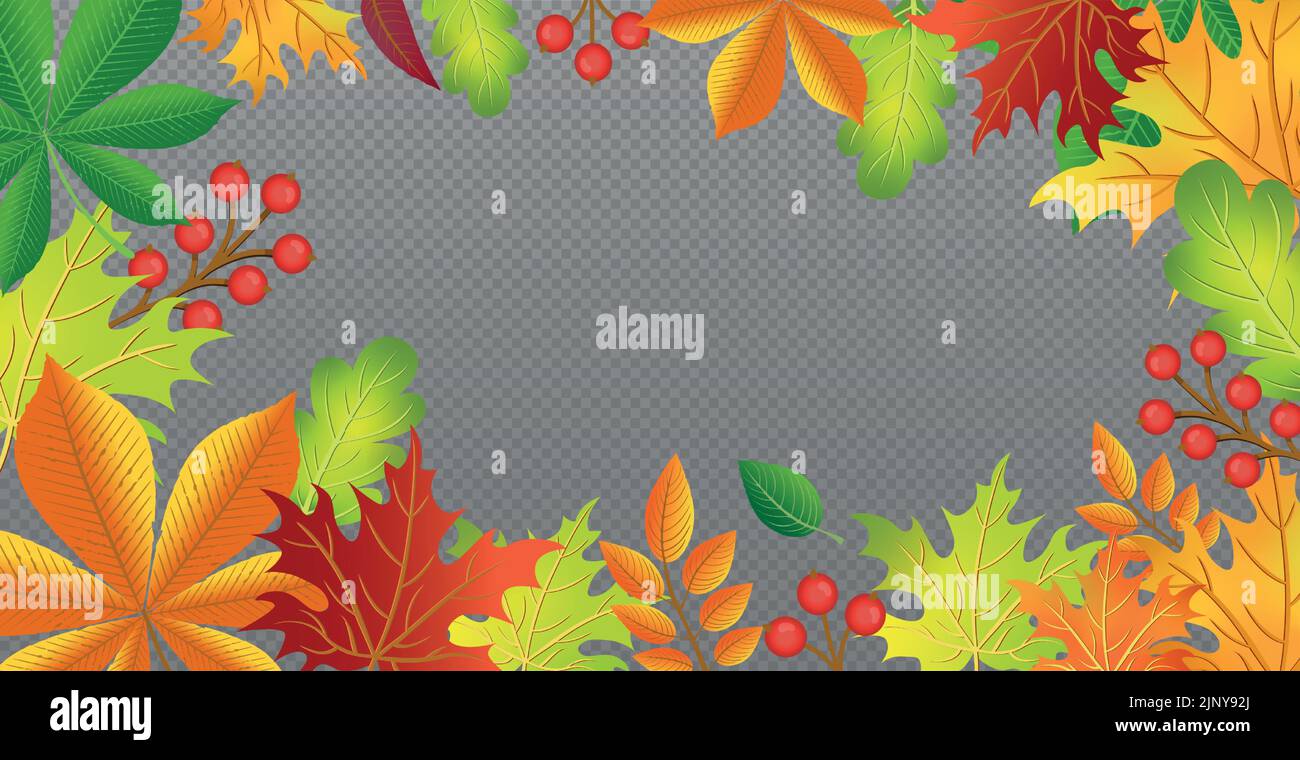 Autumn red and yellow maple leaves, web template transparent background ...