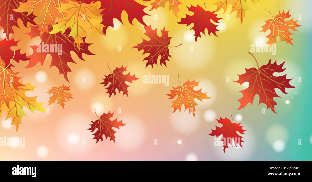 Autumn red and yellow maple leaves, web template transparent background ...