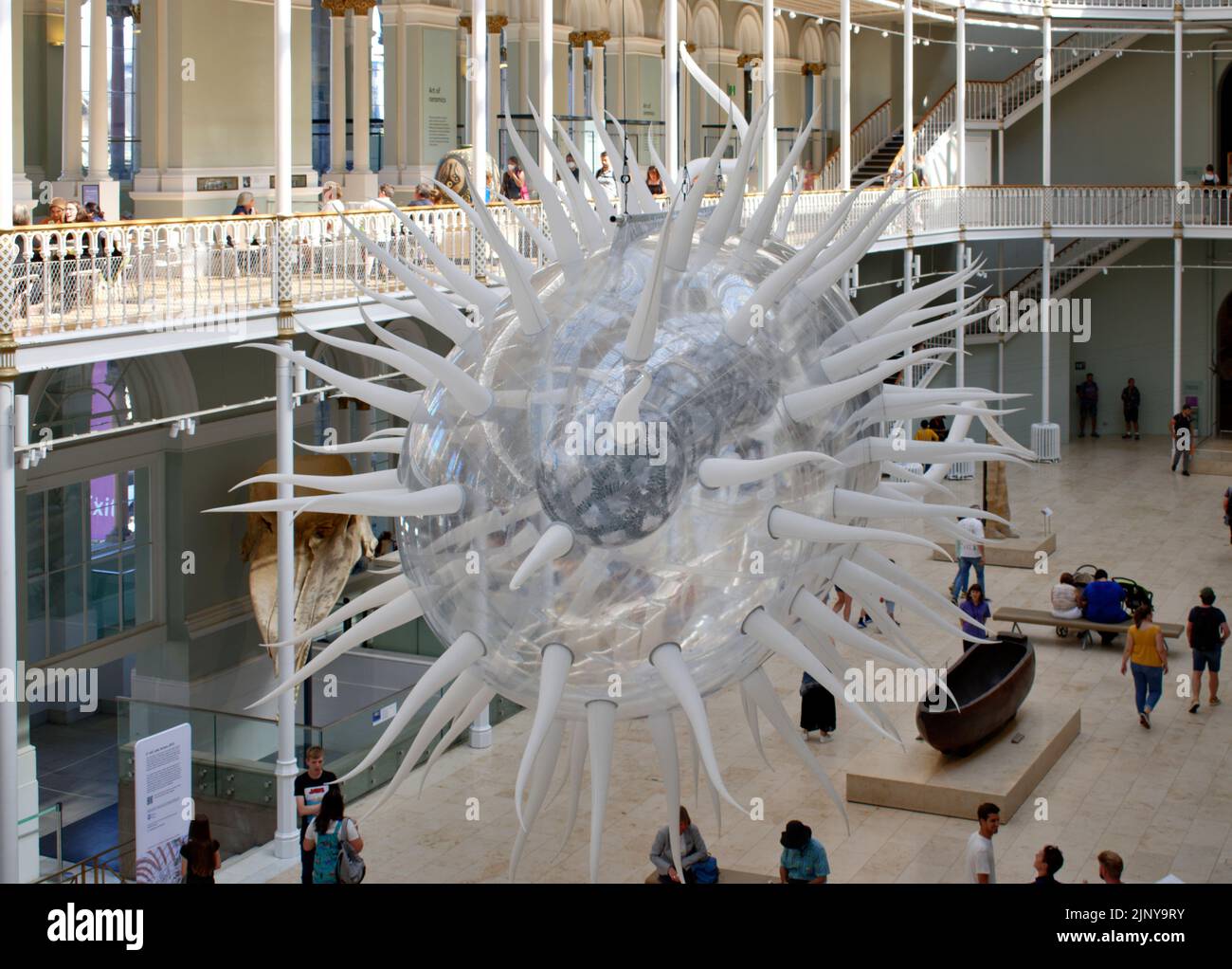 EDINBURGH CITY NATIONAL MUSEUM OF SCOTLAND A 90 FEET GIANT REPLICA OF ...