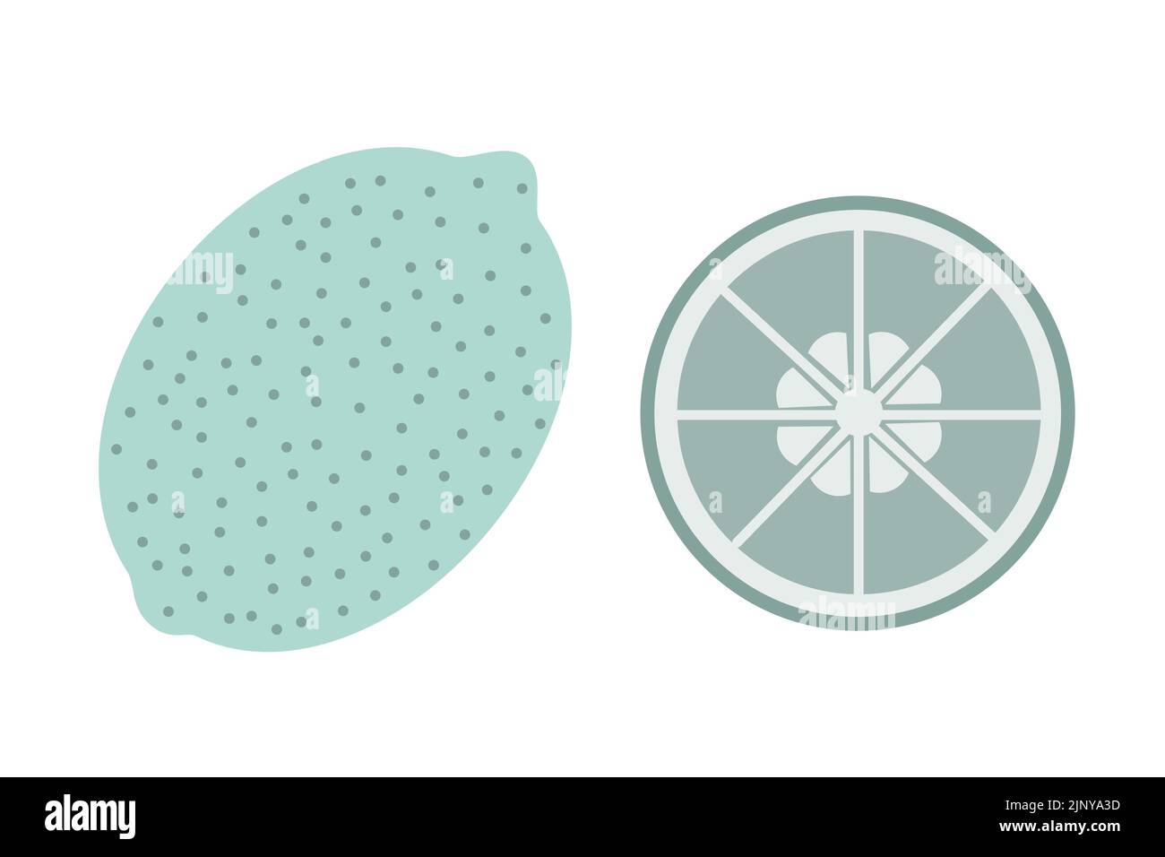 A whole lime and a slice of lime on an isolated white background. Flat vector illustration Stock ...