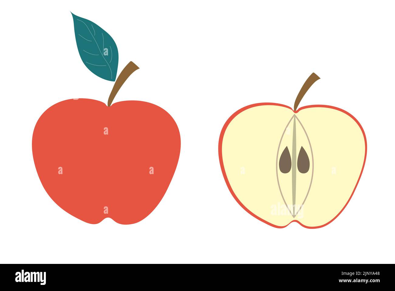 A whole apple and a piece of apple on an isolated background. Flat ...