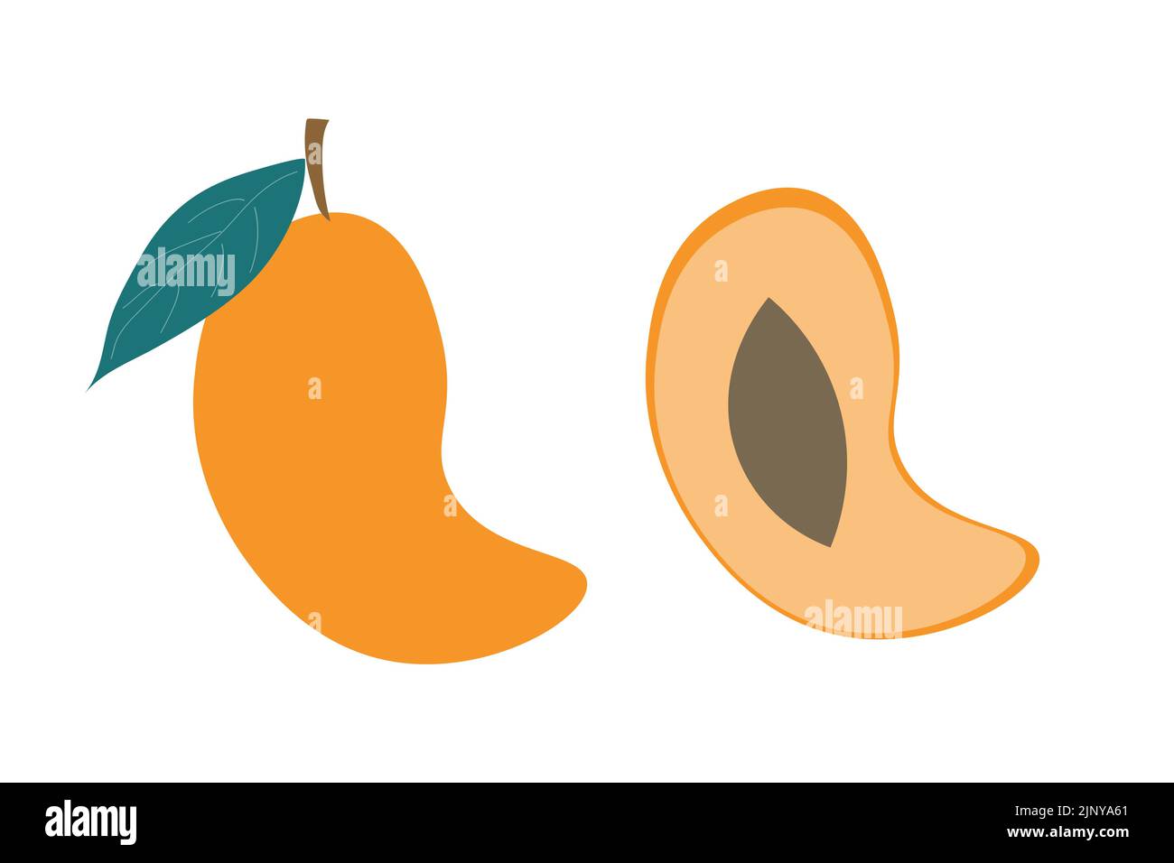 A whole mango and a slice of mango on an isolated white background ...