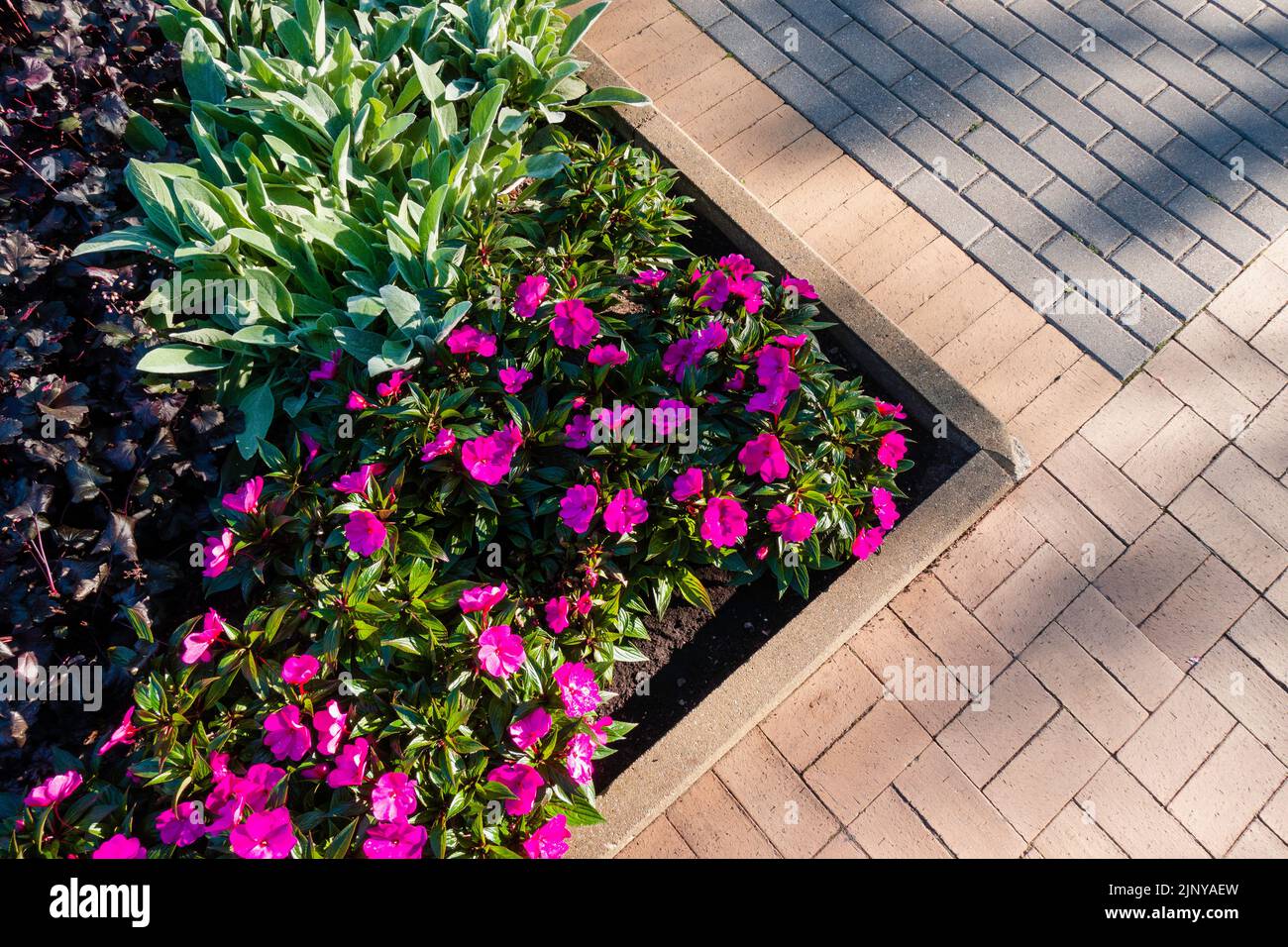 Modern design urban garden landscaping. Flower garden in high flower ...