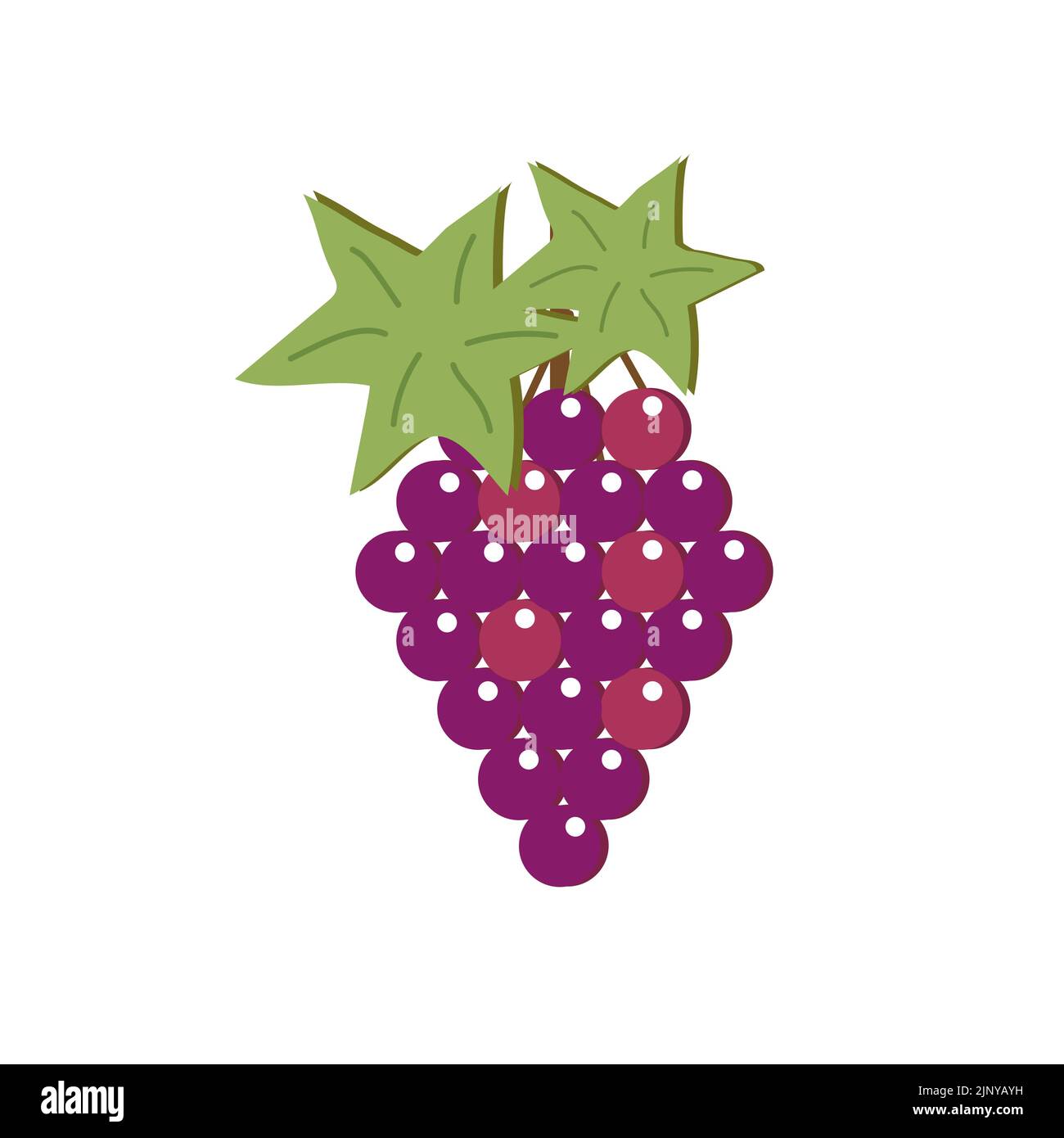 Salad of grapes Stock Vector Images - Alamy