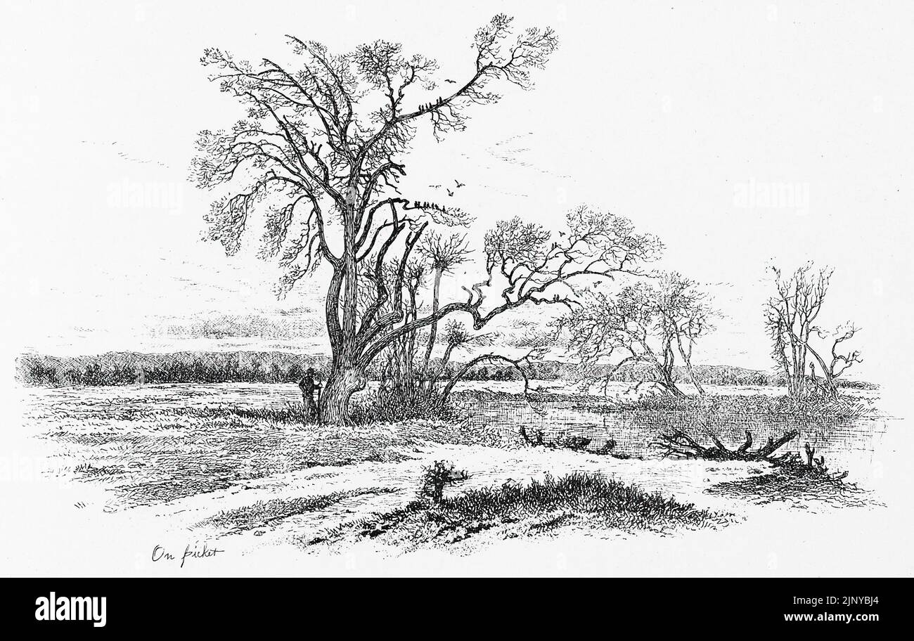 On Picket. 19th century American Civil War illustration by Edwin Forbes ...