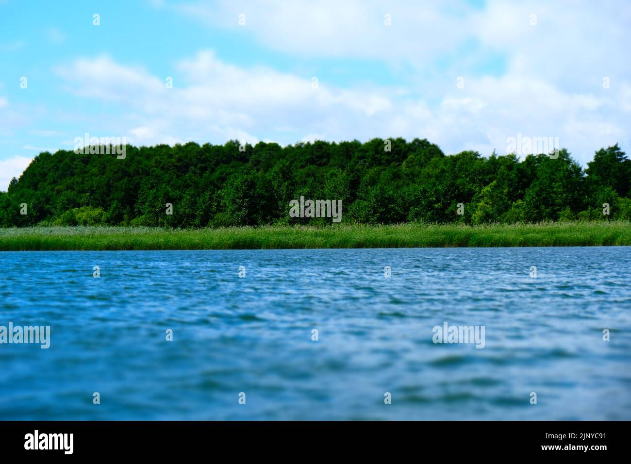 Calming lake in front of refreshing trees Stock Photo - Alamy