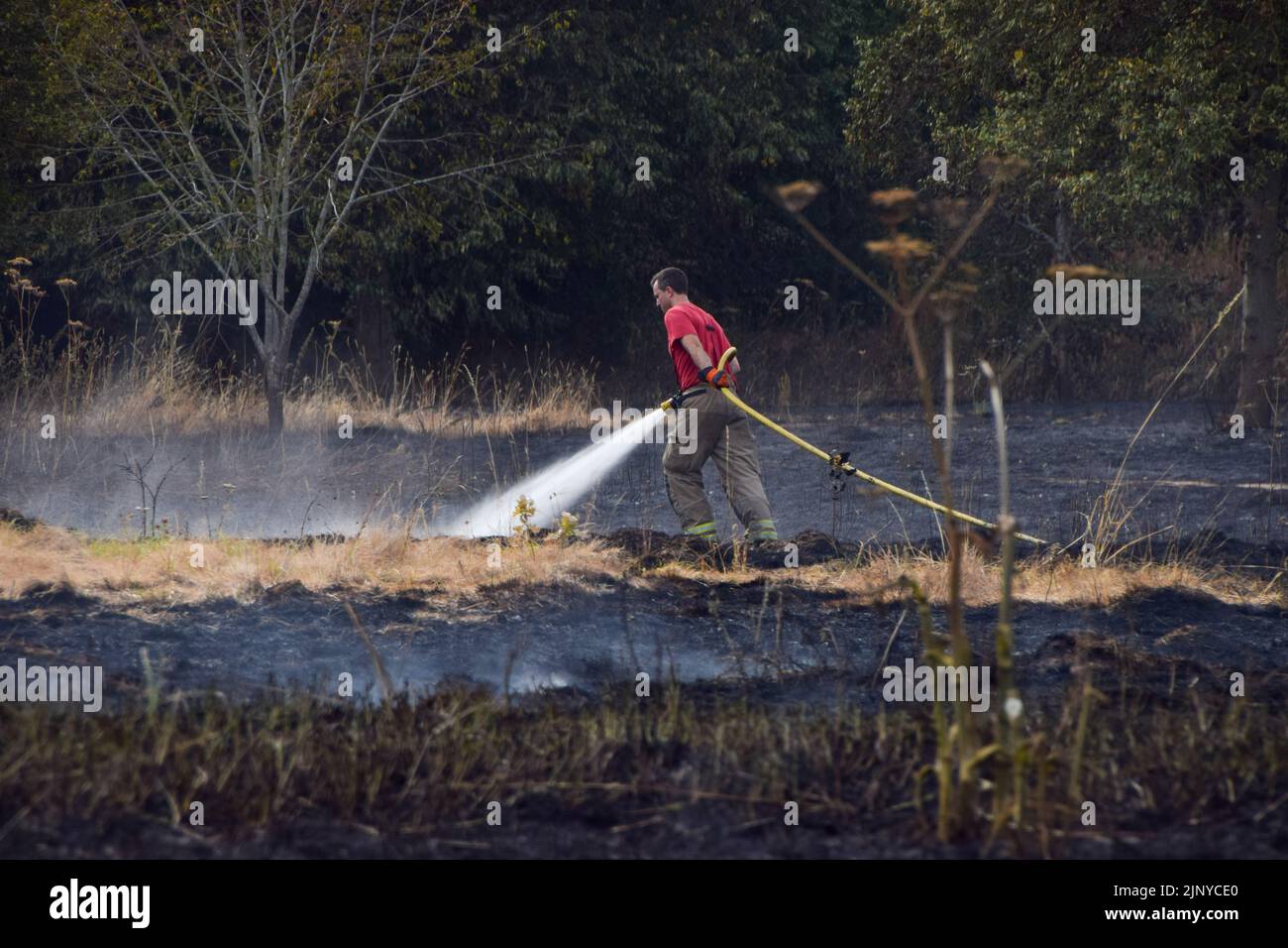 Firefighter spraying water extinguish wildfire hi-res stock photography ...