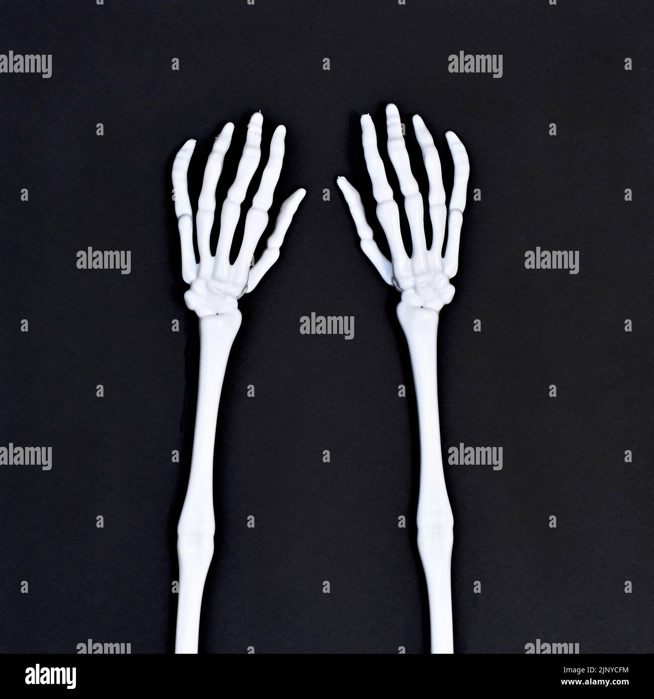 Creepy skeleton hands on dark black background for Hallopween. Flat lay ...