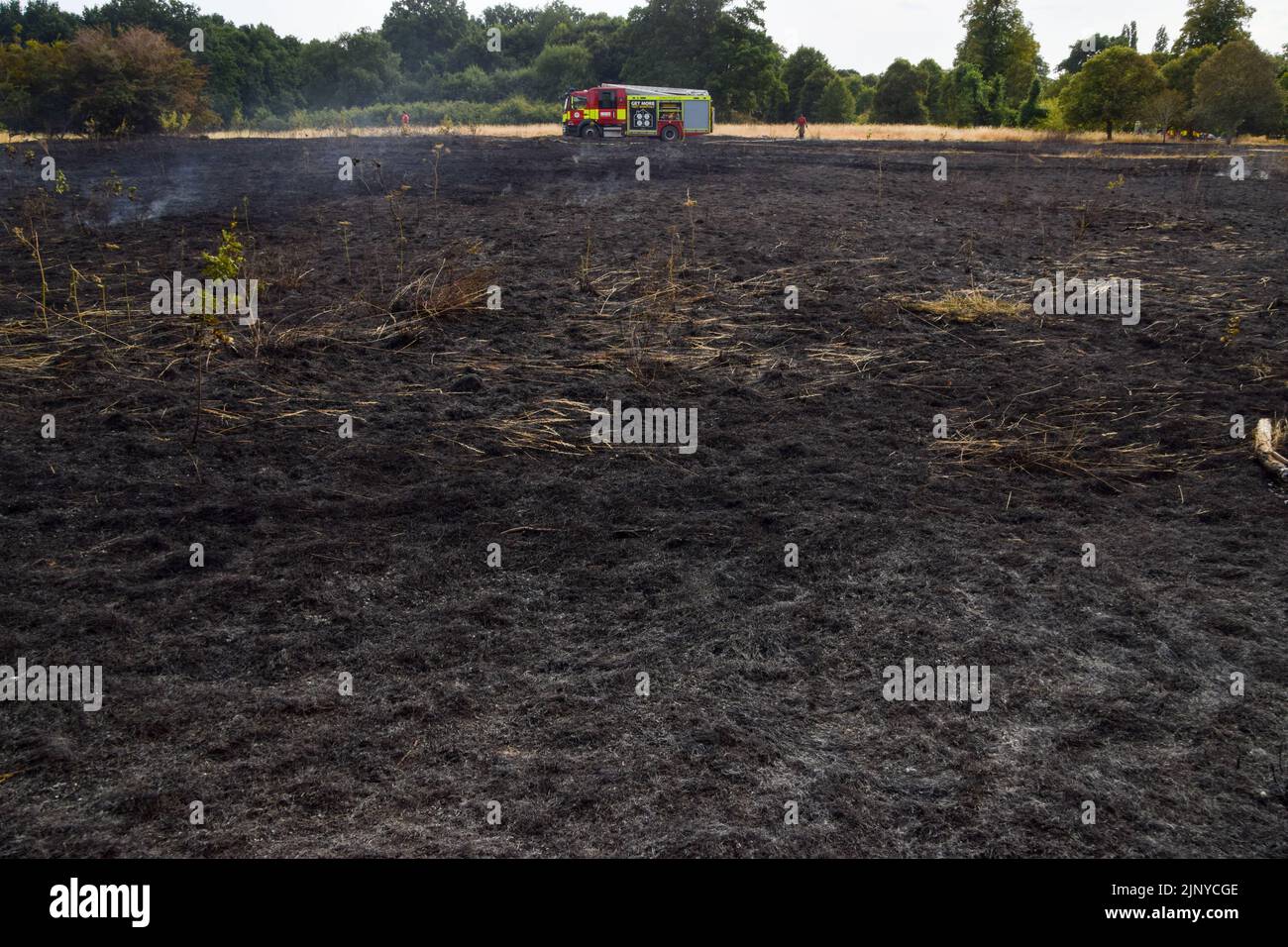 London, UK. 14th August 2022. The aftermath of a grass fire in Enfield ...