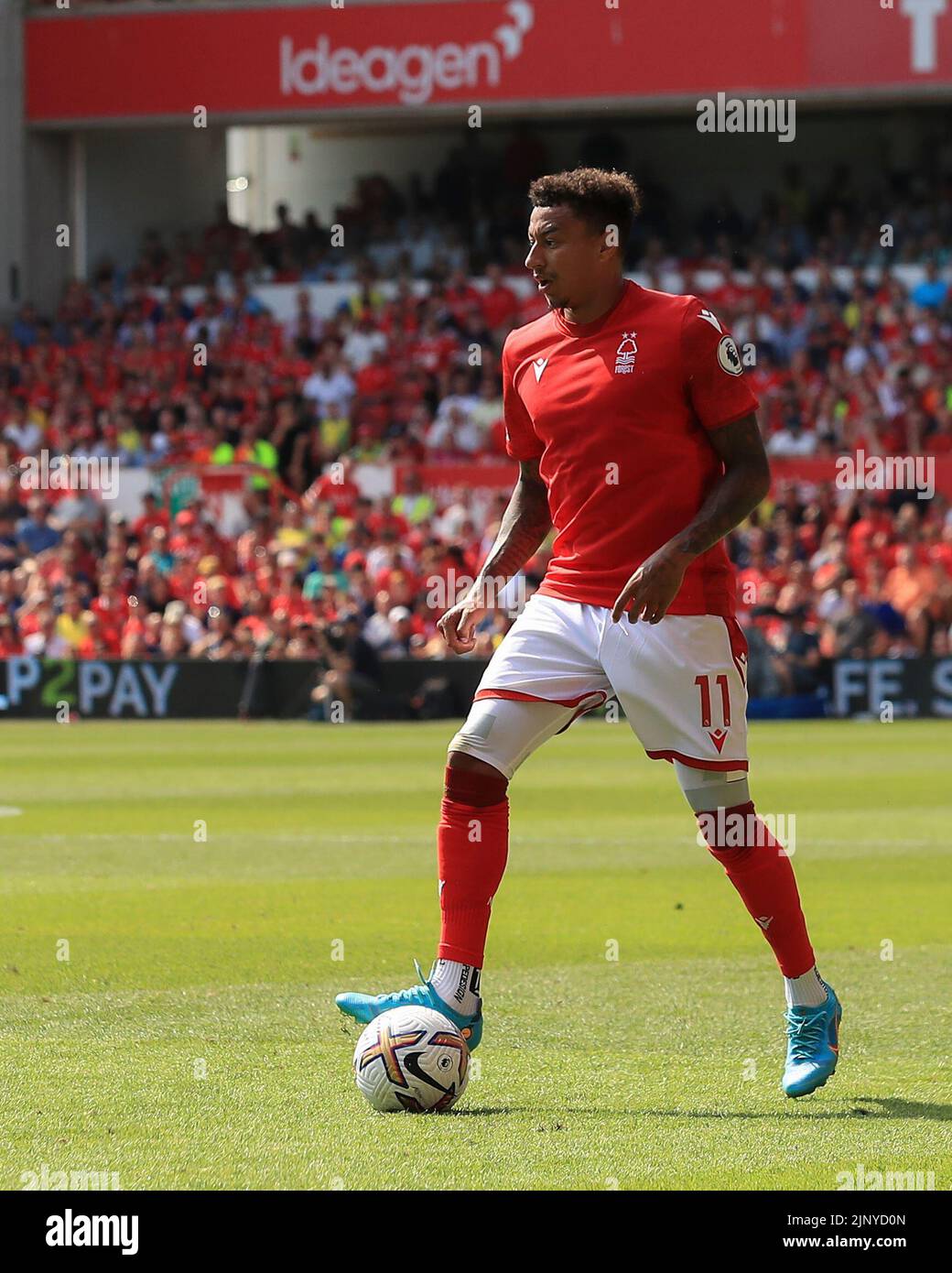 Jesse lingard forest hi-res stock photography and images - Alamy