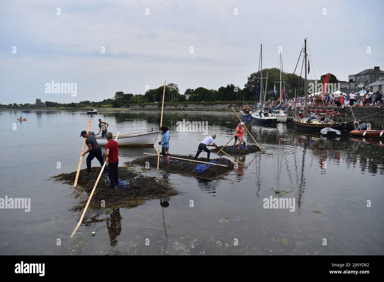 Bundles of seaweed hi-res stock photography and images - Alamy