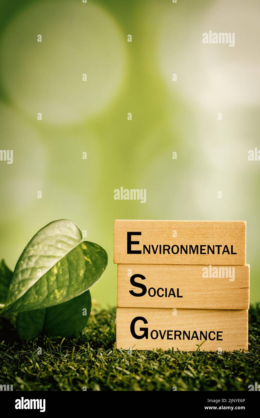 ESG environmental, social and governance concept. ESG word on a wooden ...