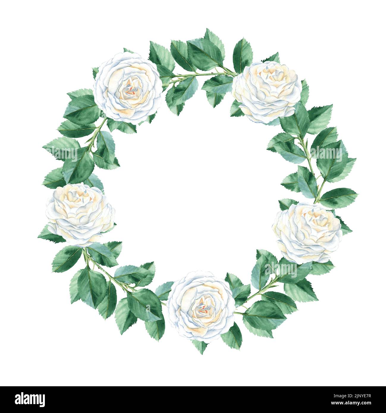 Creamy white roses wedding wreath isolated on white background ...