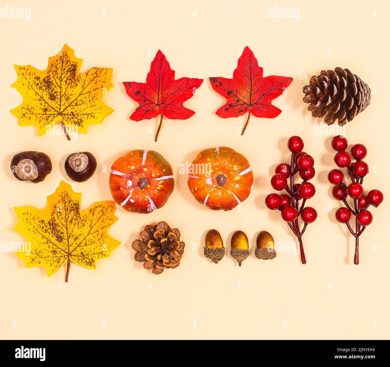 Autumn layout on beige background. Fall leaves and nuts pattern. Flat ...