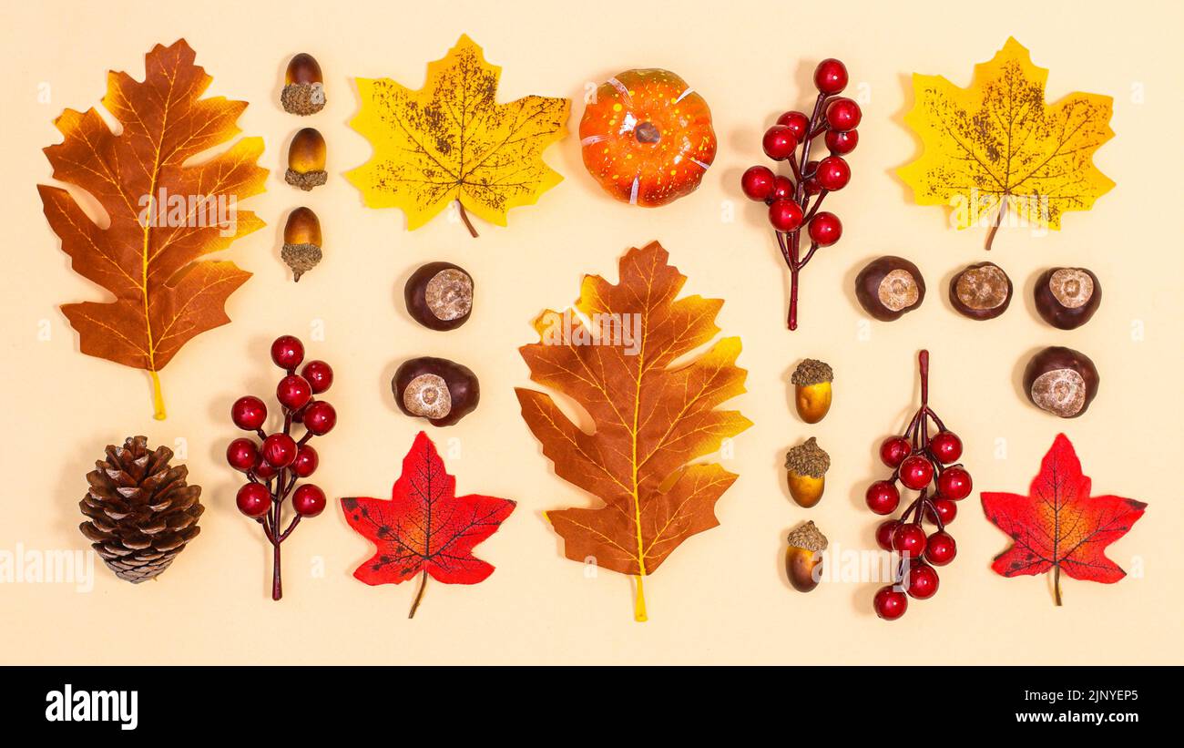Autumn layout arrangement on beige background. Fall leaves and nuts ...