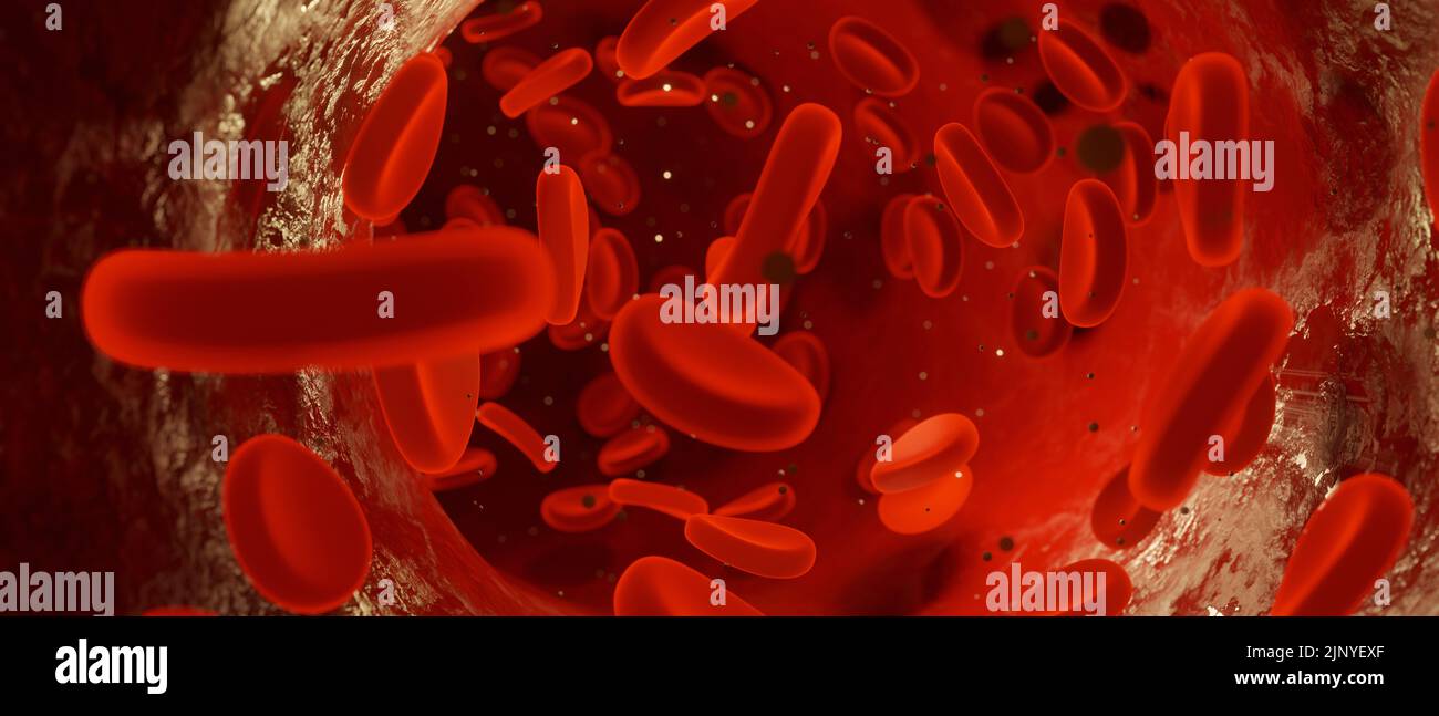 View under microscope, blood-red blood cells in a living body, 3d ...