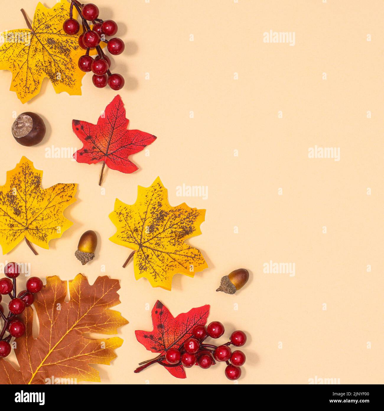 Autumn layout with leaves, chestnut and acorns on beige background. Fall concept. Copy space ...