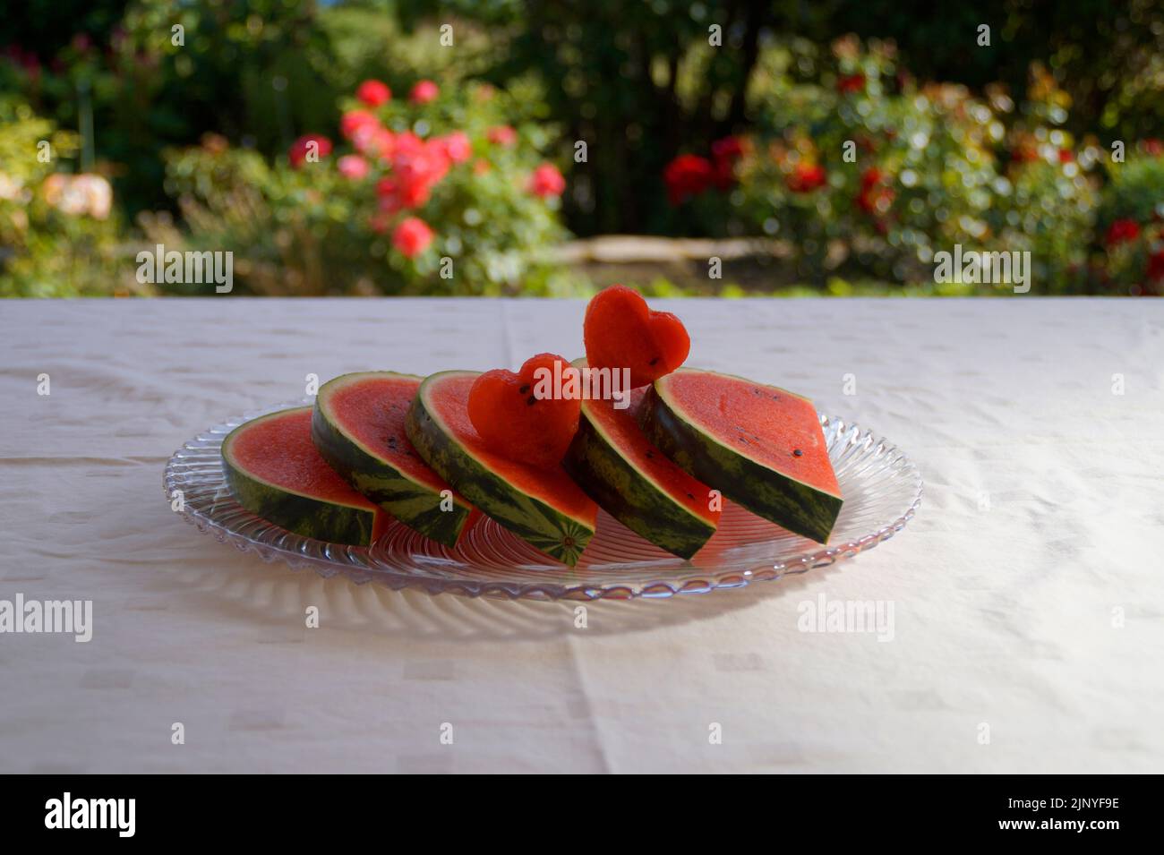 gorgeous, delicious, juicy, ripe, juicy, bright red sliced watermelon ...