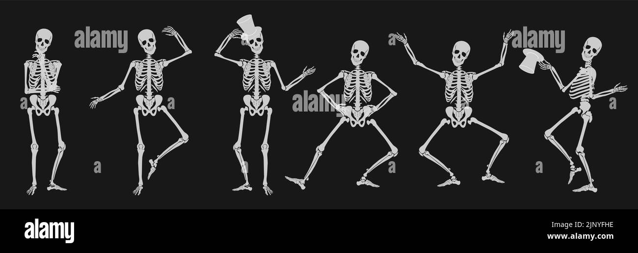 Dancing Human bones skeletons. Different skeleton poses set isolated on ...