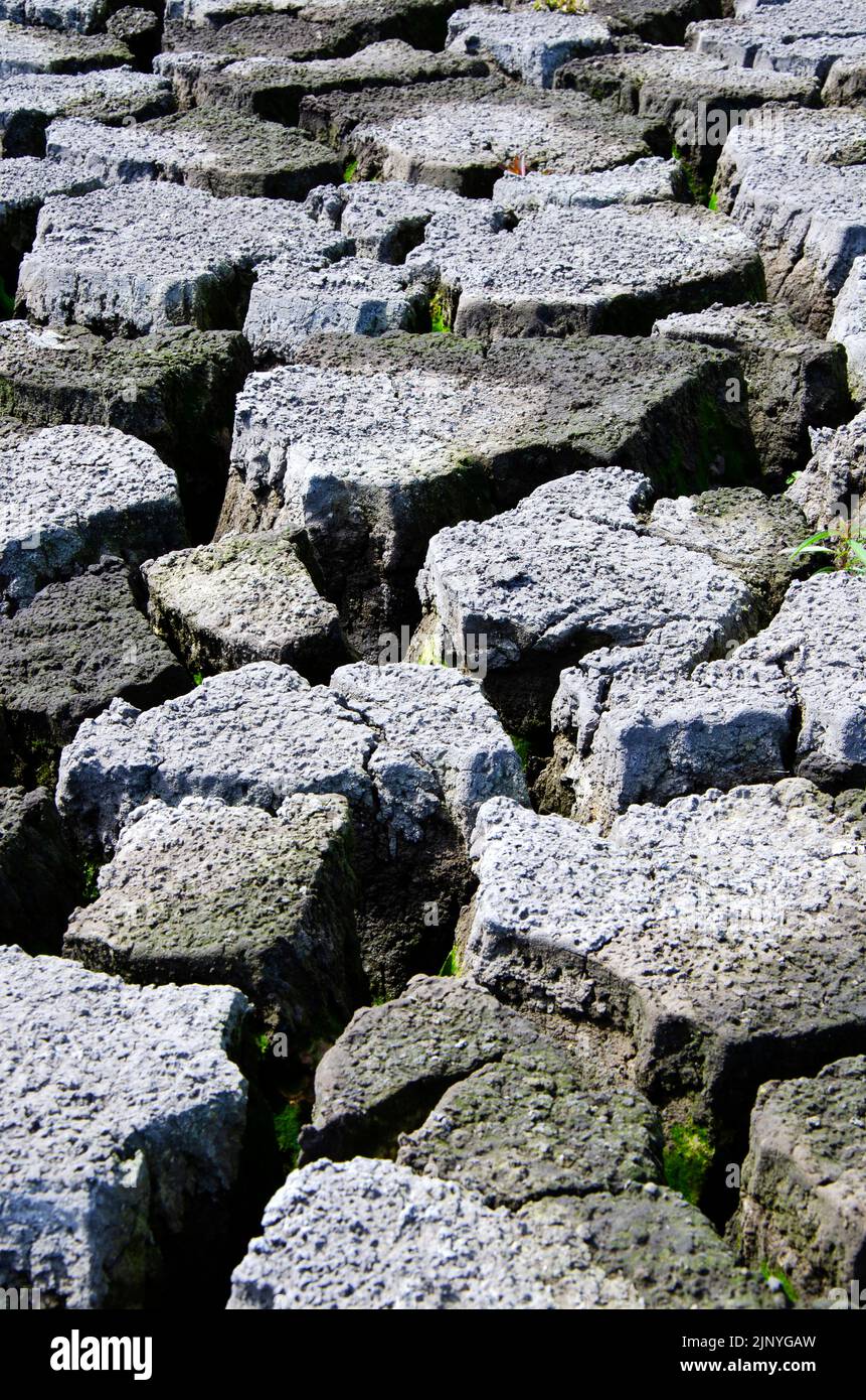 Dried up soil hi-res stock photography and images - Alamy