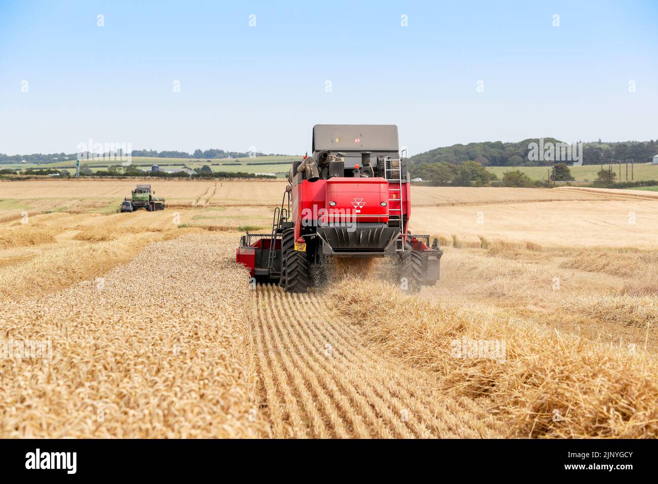 Farmer using a Massey Ferguson Activa 7345S combine harvester, with a ...