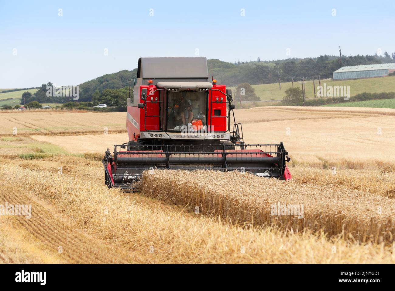 Farmer using a Massey Ferguson Activa 7345S combine harvester, with a ...