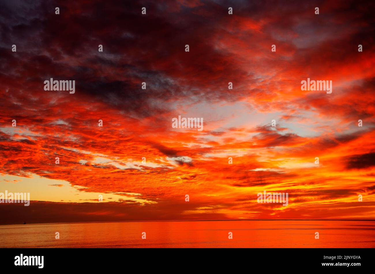 Californis hi-res stock photography and images - Alamy