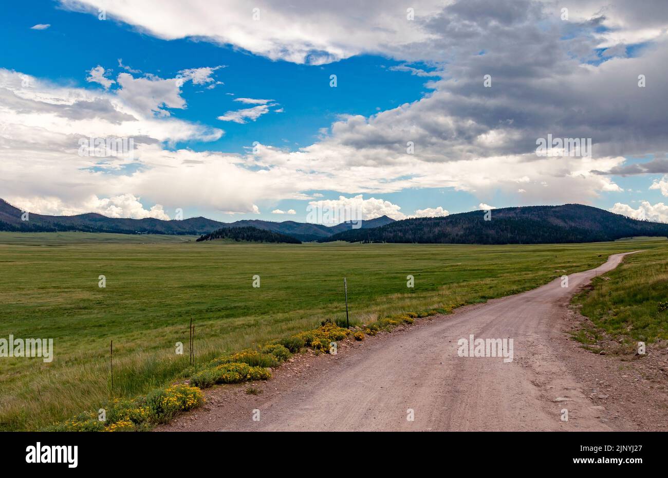 A Forest Road In The Valles Caldera National Preserve In NM Stock Photo ...