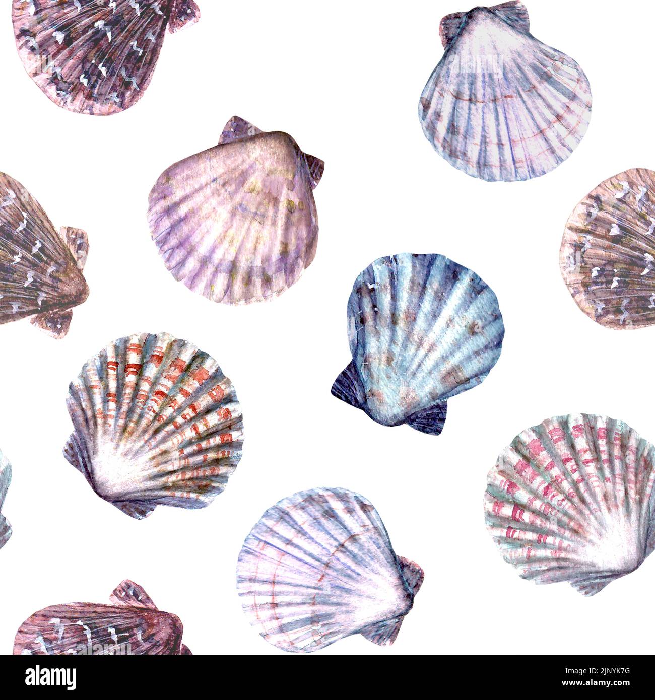 Watercolor seashell seamless pattern. Hand drawn sea shells colorful ...
