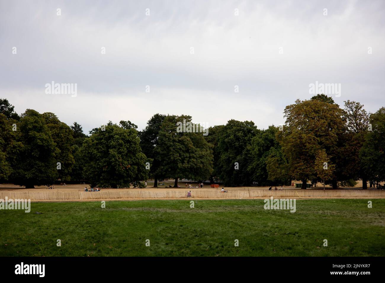 The view of one preserved green grass area inside the Greenwich Park. 8 ...
