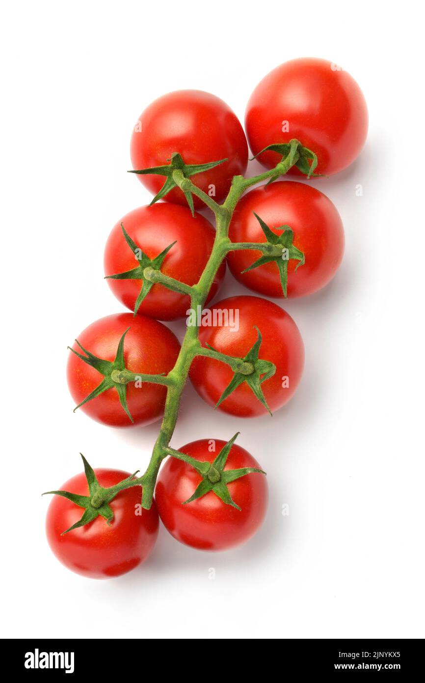 Bunch of fresh, red tomatoes with green stems isolated on white ...