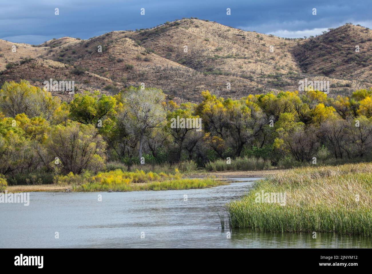 Patagonia, Benson, Arizona Stock Photo - Alamy