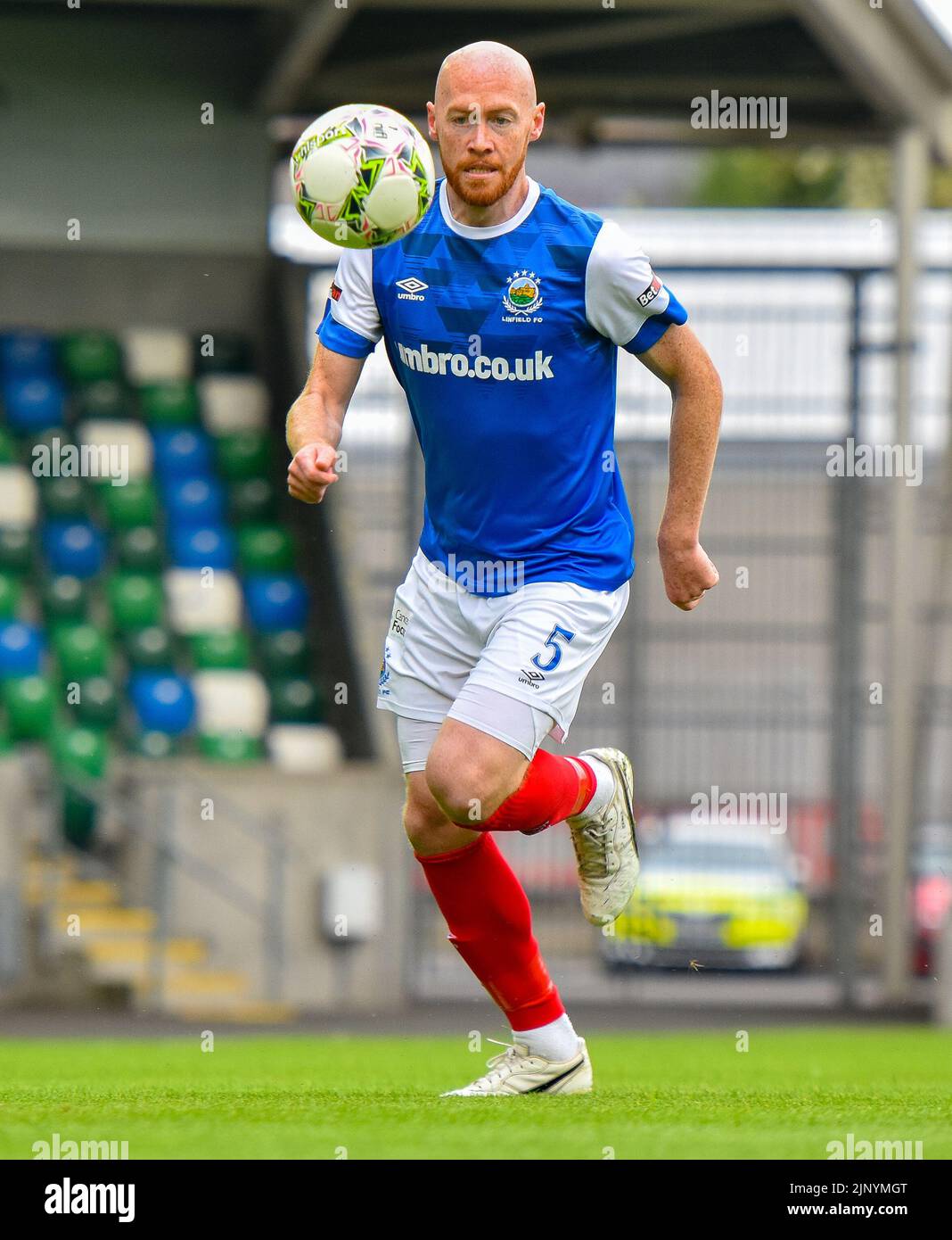 Chris Shields in action - Linfield Vs Portadown, Windsor Park Belfast ...