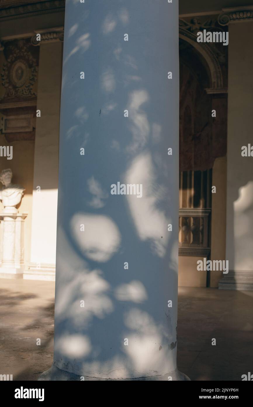 Shadows from trees on a plastered wall Stock Photo - Alamy