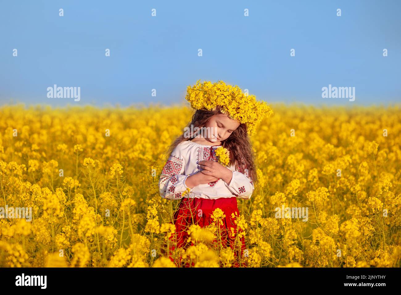 Ukrainian child girl in traditional embroidery and yellow wreath in ...