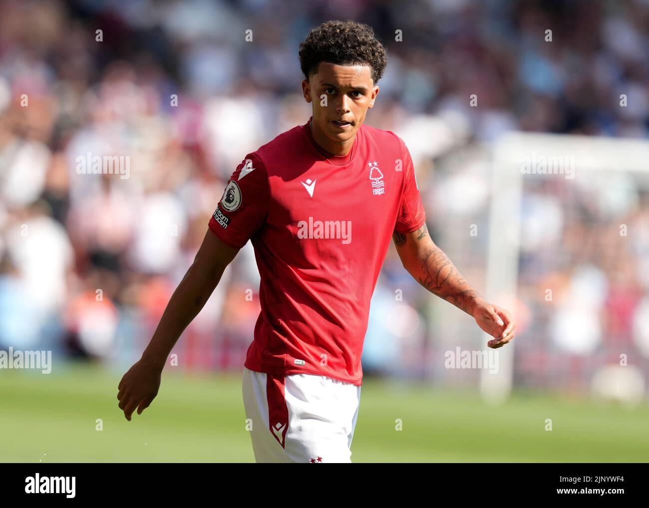 Nottingham, UK. 14th Aug, 2022. Brennan Johnson of Nottingham Forest ...