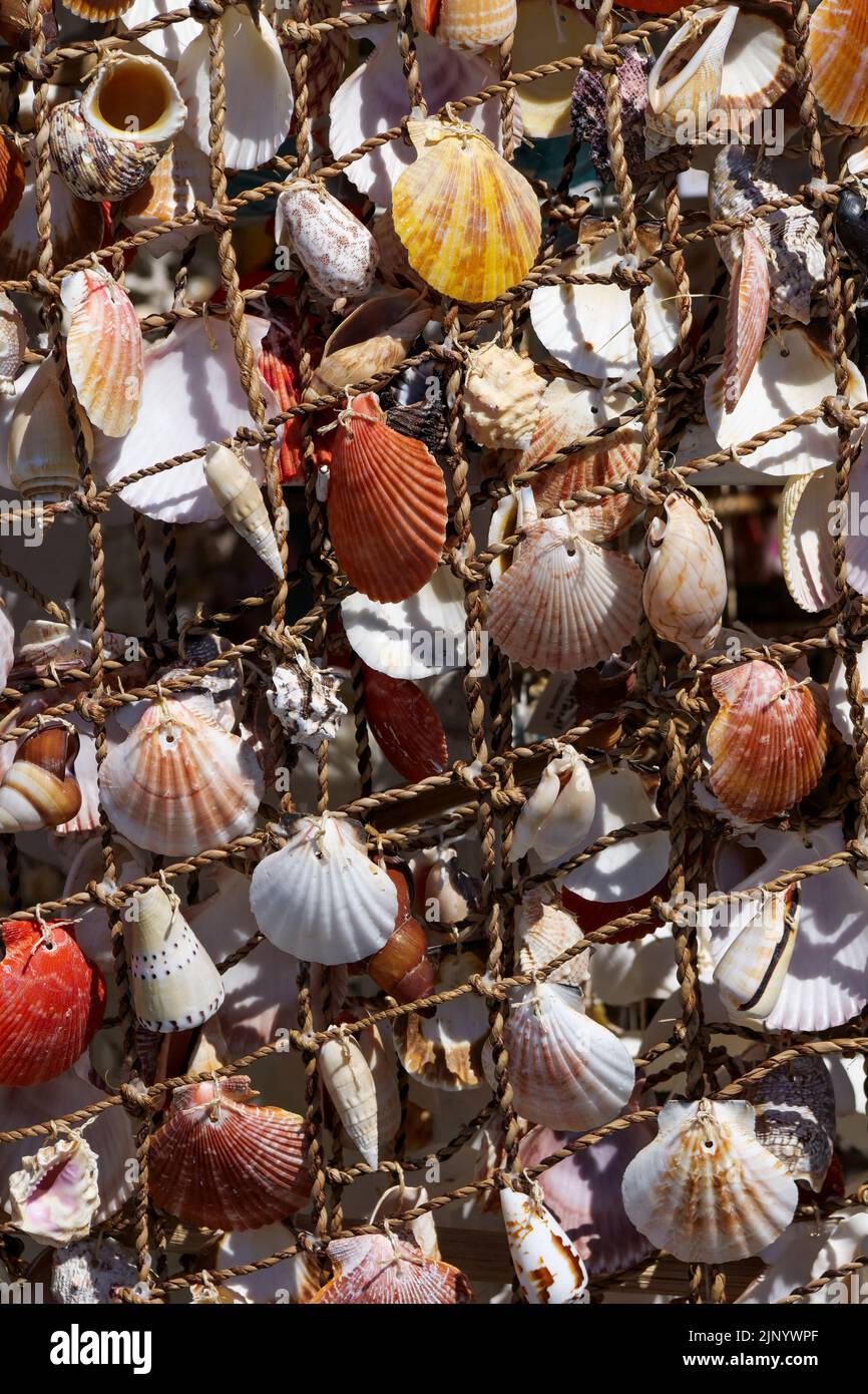 Decorative objects made with sea shells, Thassos island, Macedonia ...