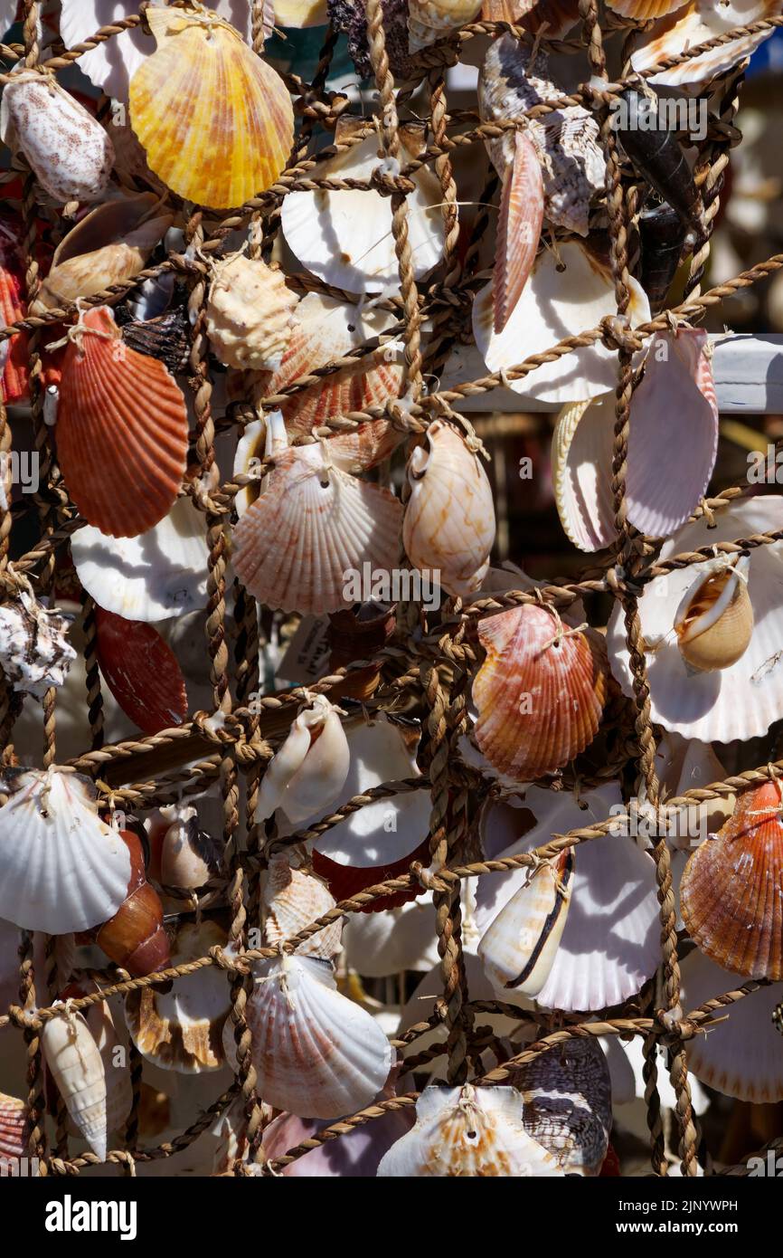 Decorative objects made with sea shells, Thassos island, Macedonia ...