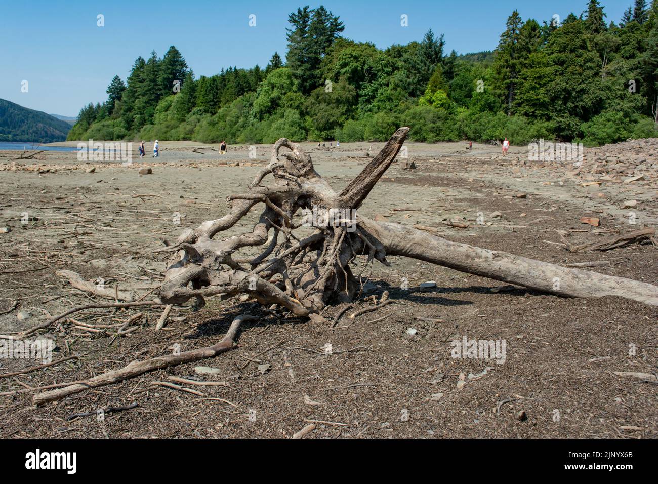 Receding water's at Lake Vyrnwy dam now starting to reveal old roads ...