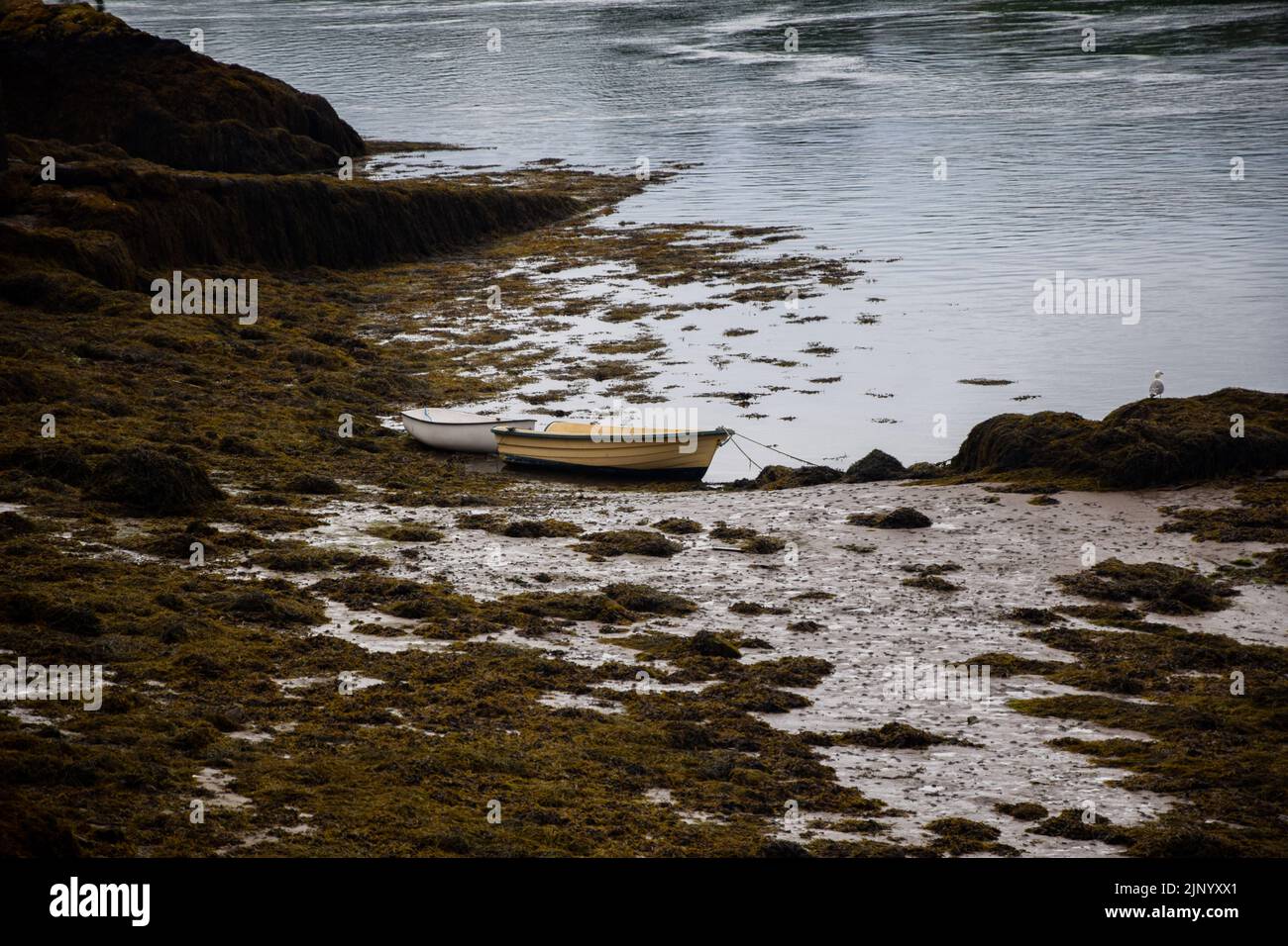 A boat on Menai Strait, North Wales, UK Stock Photo - Alamy