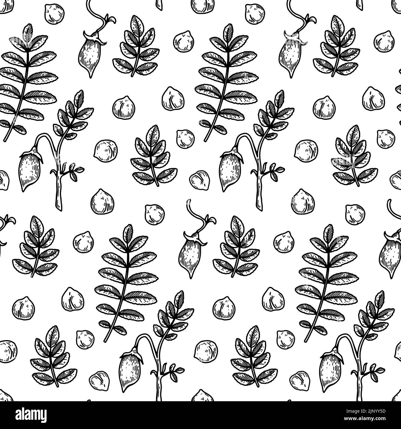 Hand drawn chickpeas seamless pattern. Vector illustration in sketch ...