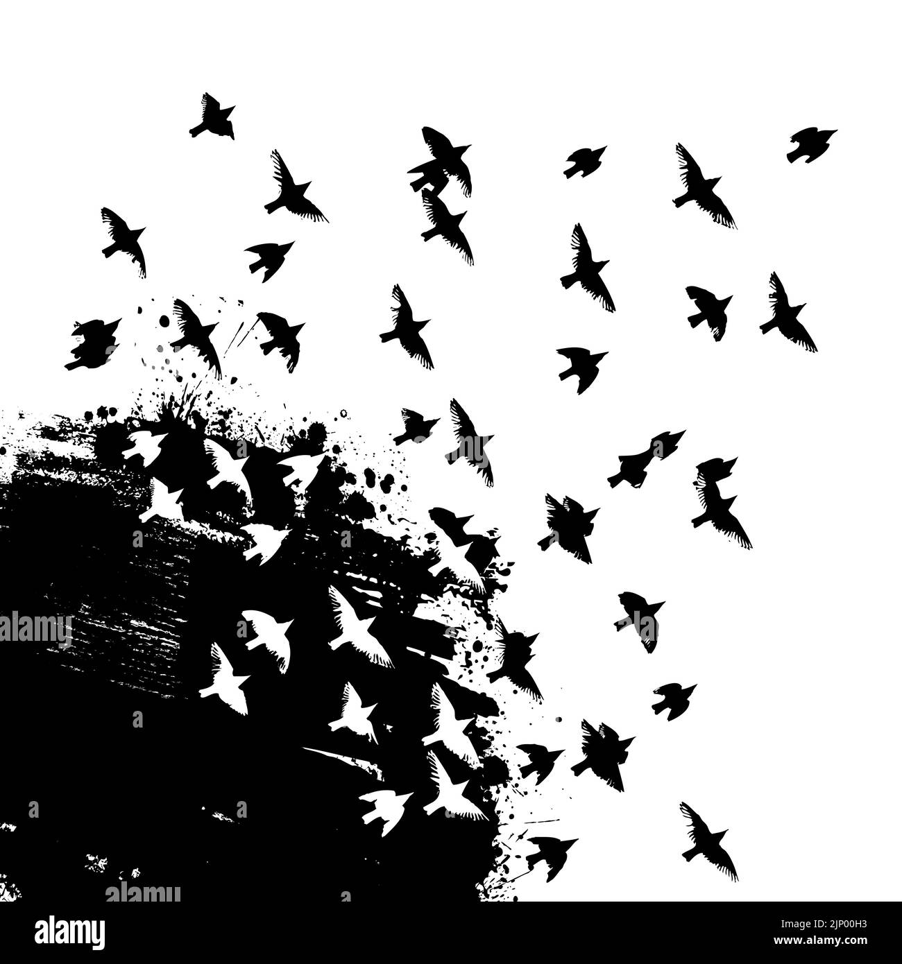 Crows Flying Wallpaper